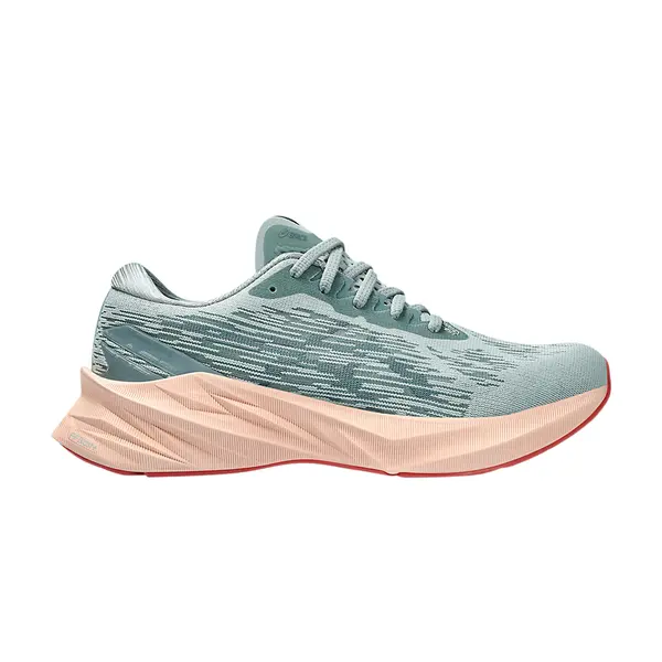 Asics Novablast 3 - Grey