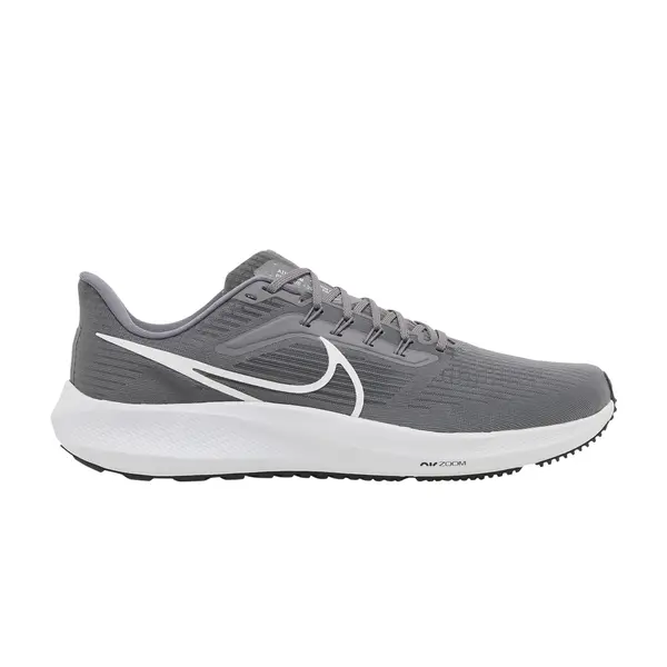 Nike Air Zoom Pegasus 39 Tb