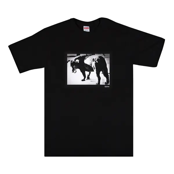 Supreme Daid_ Moriyama Dog Tee - Black