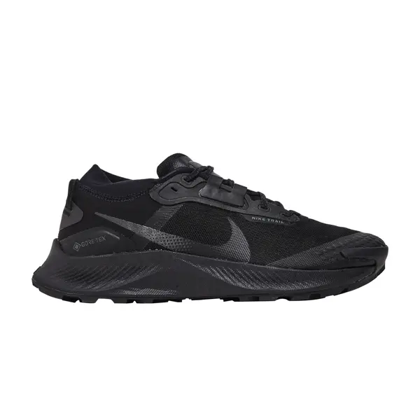 Nike Pegasus Trail 3 Gtx - Black