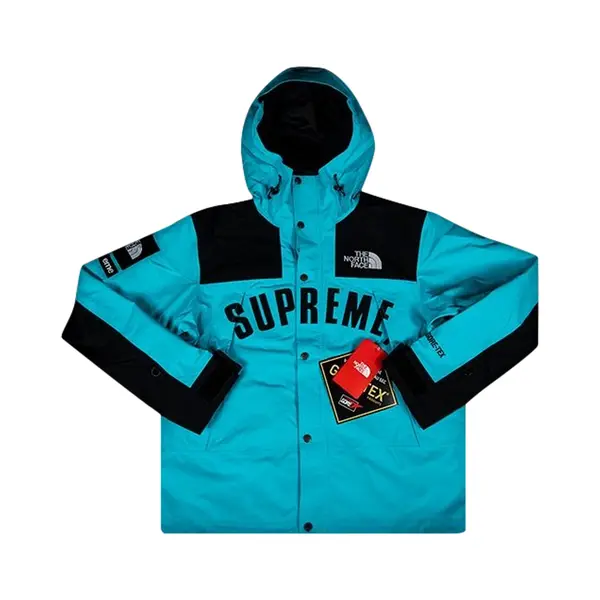 Supreme X The North Face Arc Logo Mountain Parka - Teal | Editorialist