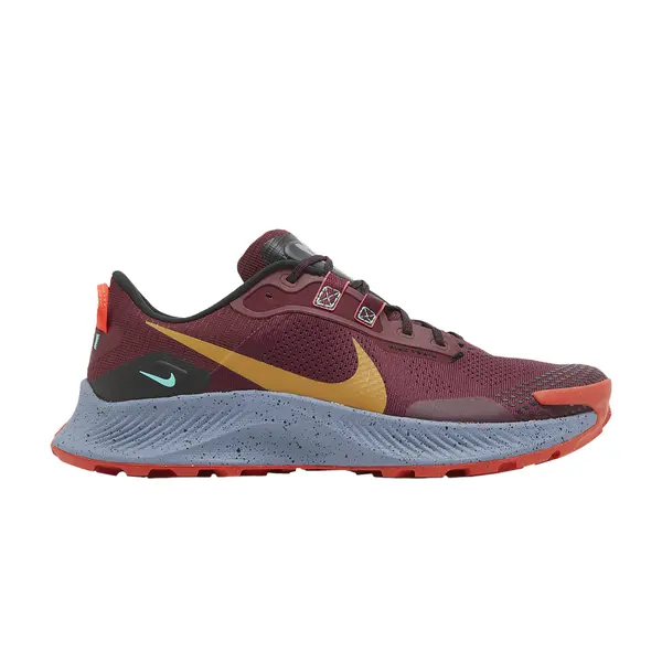 Nike Pegasus Trail 3