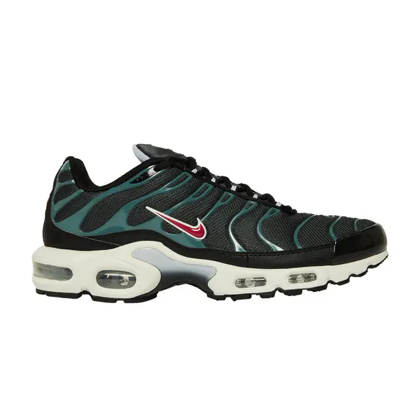 Nike Air Max Plus Sneakers - Black