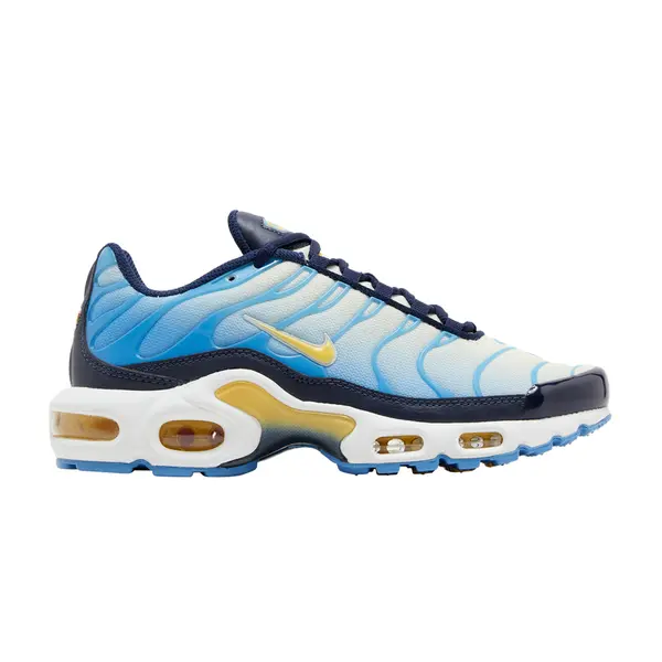 Nike Air Max Plus - Blue