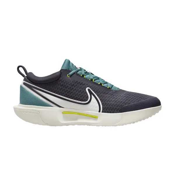 Nike Court Zoom Pro Hc Sneakers - Black