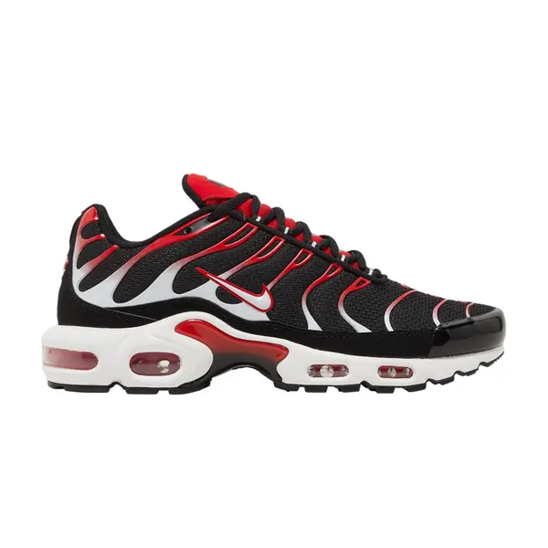 Nike Air Max Plus Sneakers - Black