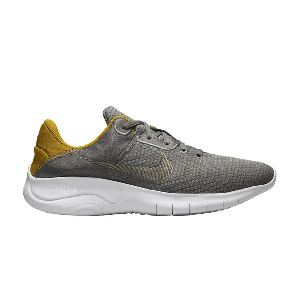 Nike Flex Experience Run Next Nature - Grey