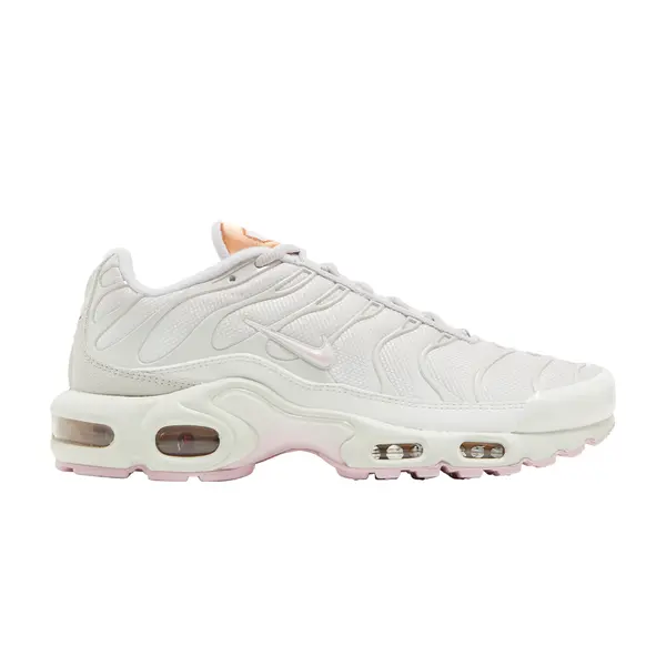 Nike Air Max Plus Sneakers - Grey