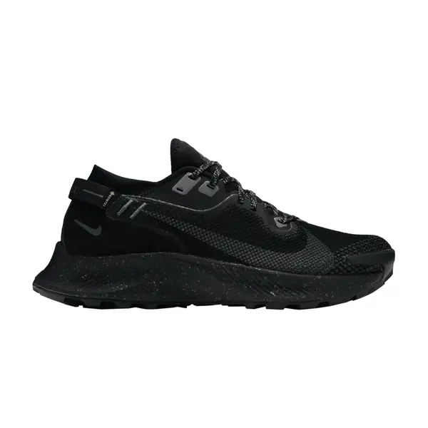 Nike Pegasus Trail 2 Gtx - Black
