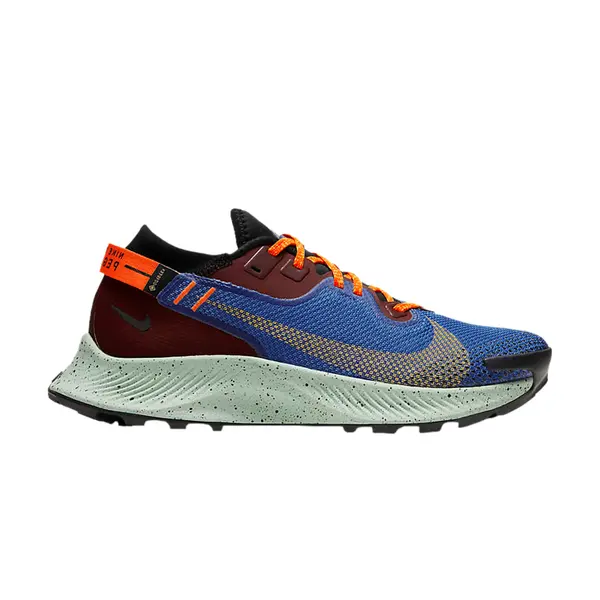 Nike Pegasus Trail 2 Gore-tex Sneakers - Blue