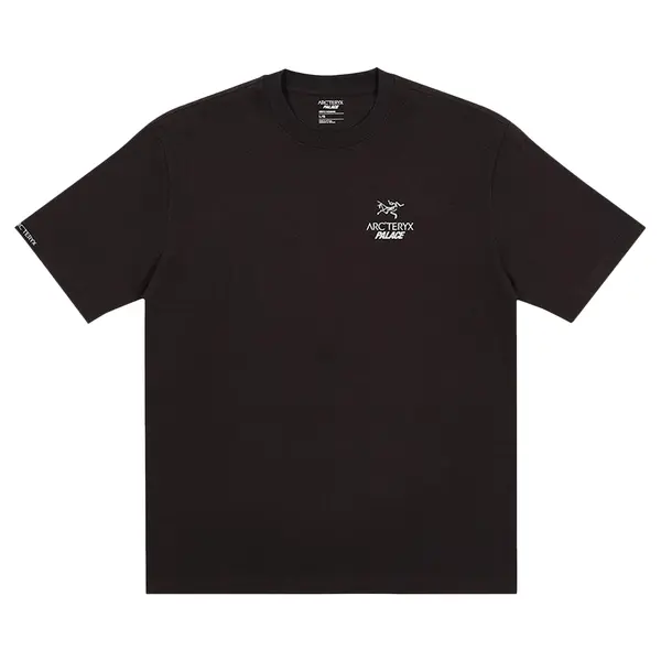 PALACE X Arc'teryx T-shirt