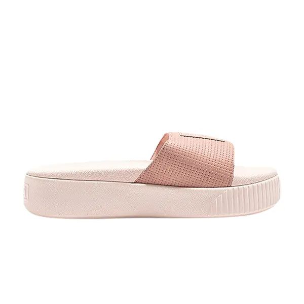PUMA Platform Slides