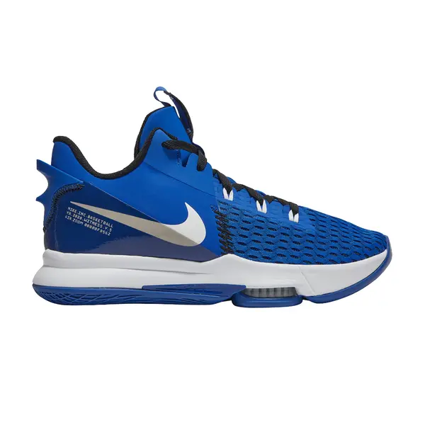 Nike Lebron Witness 5 - Blue