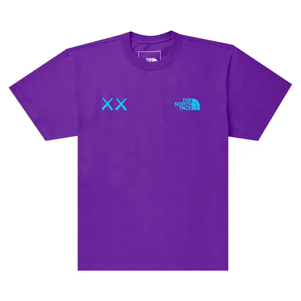 The North Face X Kaws Short-sleeve Tee 'gravity - Purple