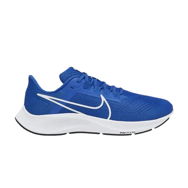 Nike Zoom Pegasus 38 Tb Running Shoe - Blue