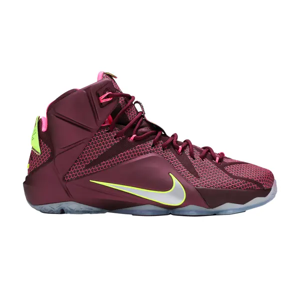 Nike Lebron Double Helix Sneakers - Purple