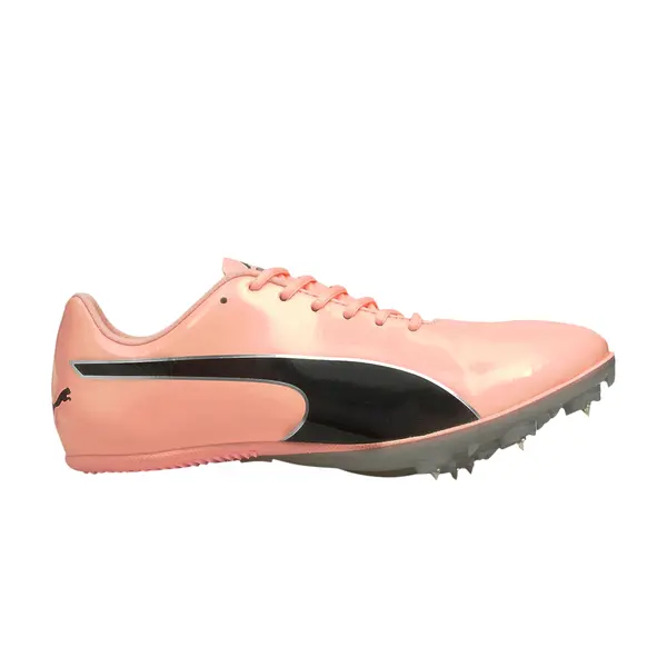 PUMA Evospeed Sprint - Pink