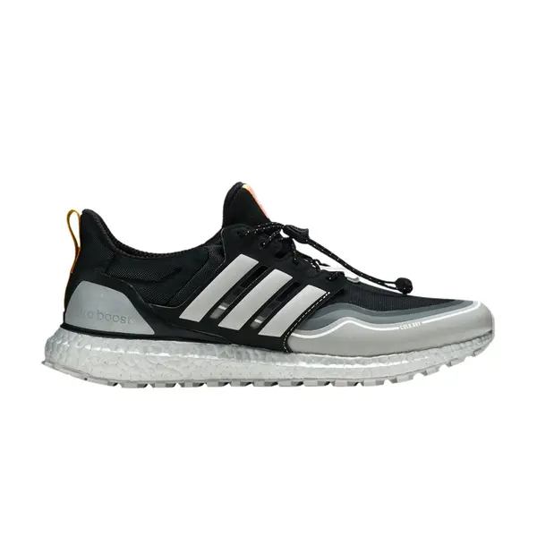 Adidas Ultraboost Winter.rdy Dna