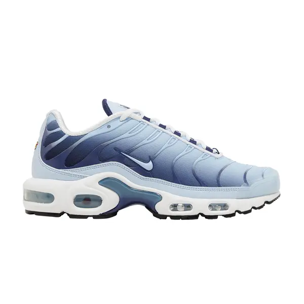 Nike Max Plus Sneakers