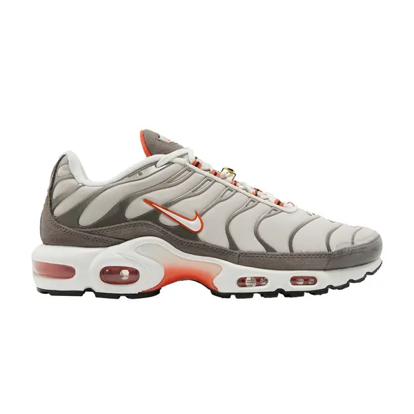 Nike Air Max Plus 'first Use' Sneakers - Brown