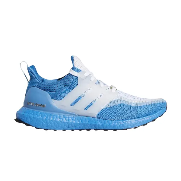 Adidas Ultraboost 2.0 Dna Sneakers