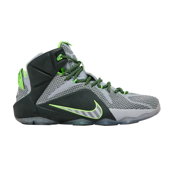 Nike Lebron 12 Dunkman Sneakers - Grey