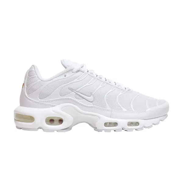 Nike Air Max Plus Sneakers