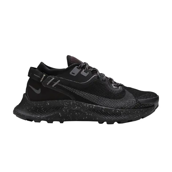 Nike Pegasus Trail 2 Gore-tex Sneakers - Black