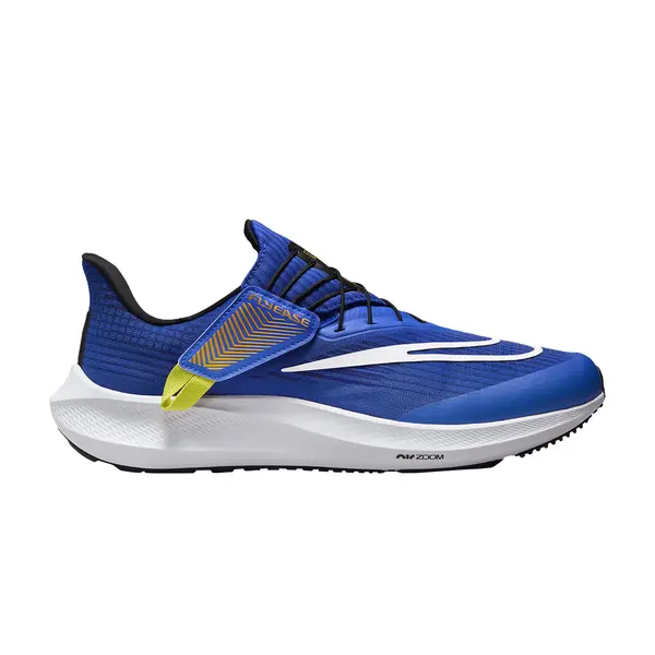 Nike Air Zoom Pegasus 39 Flyease