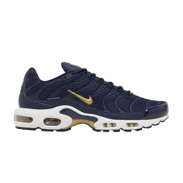Nike Max Plus ‘french Football Federation - Blue