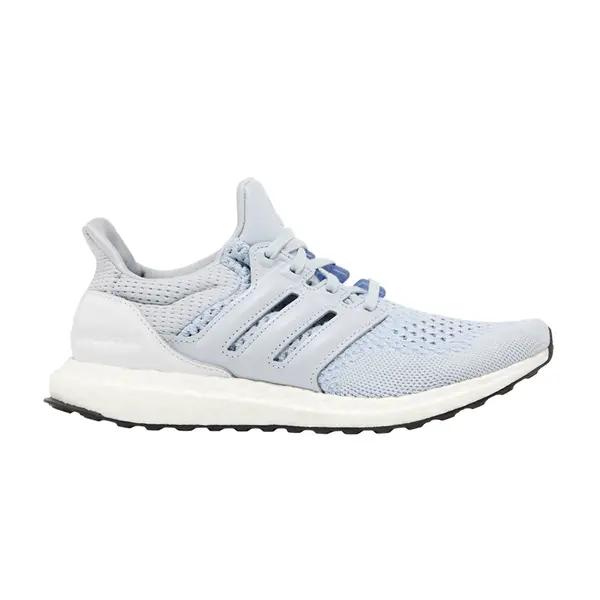 Adidas Ultraboost 1.0 Sneakers - Blue