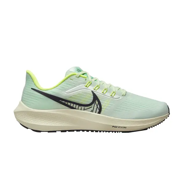 Nike Air Zoom Pegasus 39