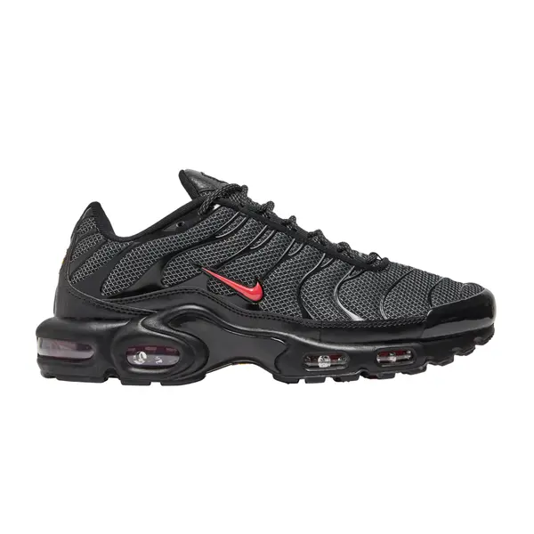 Nike Air Max Plus "bred Metal Mesh - Black