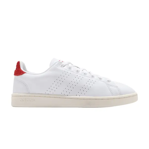 Adidas Advantage Sneakers - White