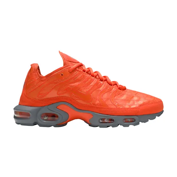 Nike Max Plus Deconstructed