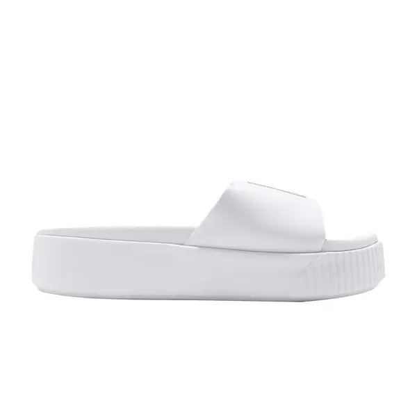 PUMA Platform Slides