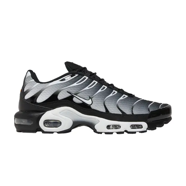Nike Air Max Plus Sneakers - Black