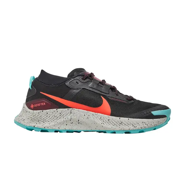 Nike Pegasus Trail 3 Gtx - Black