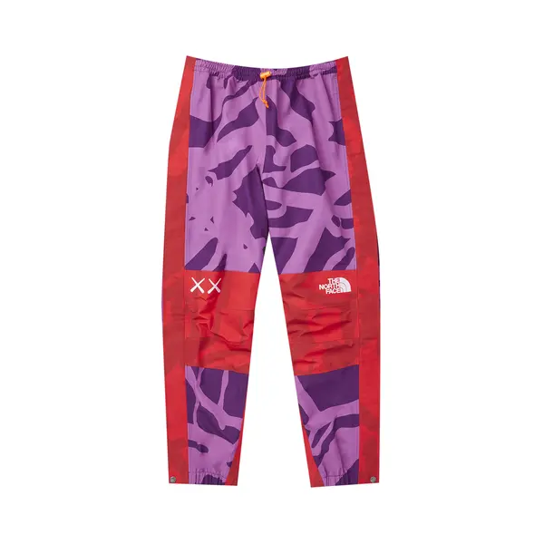 The North Face X Kaws Mountain Light Pant