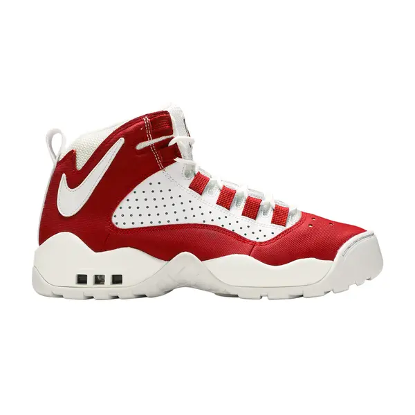 Nike Air Darwin 'varsity' Sneakers