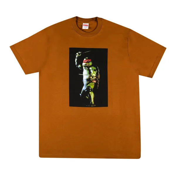 Supreme Raphael Tee - Brown