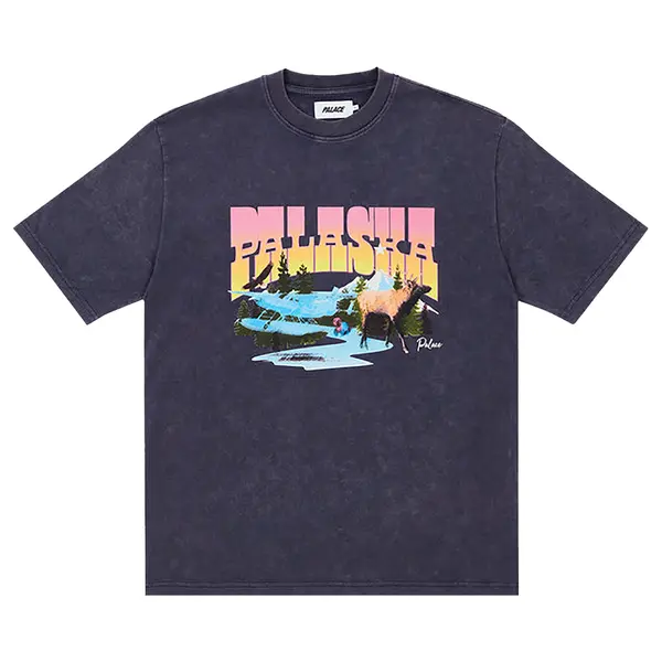 PALACE Palaska Dye T-shirt - Purple