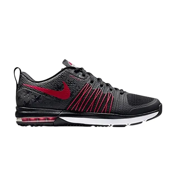 Nike Air Max Effort Tr Amp 'ohio State