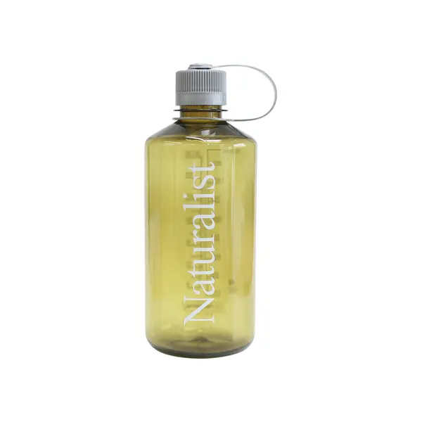 MUSEUM OF PEACE & QUIET Naturalist Water Bottle - Green