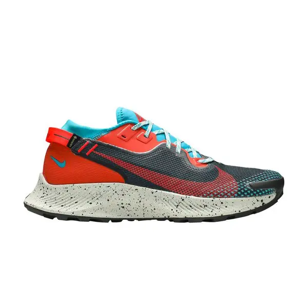 Nike Pegasus Trail 2 Gtx Sneakers