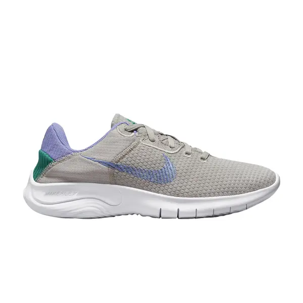 Nike Flex Experience Run Next Nature - Grey