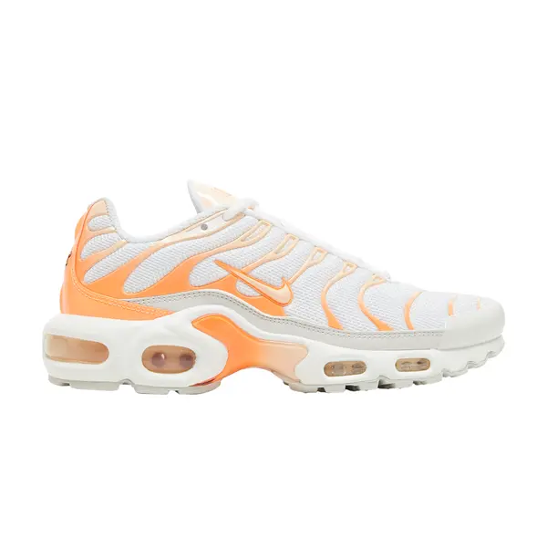 Nike Air Max Plus Sneakers - White