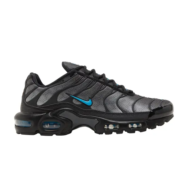 Nike Air Max Plus Sneakers - Black
