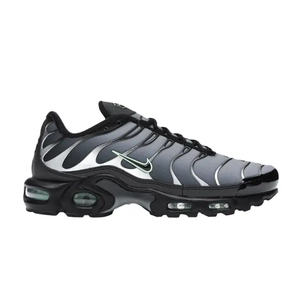 Nike Air Max Plus Sneakers