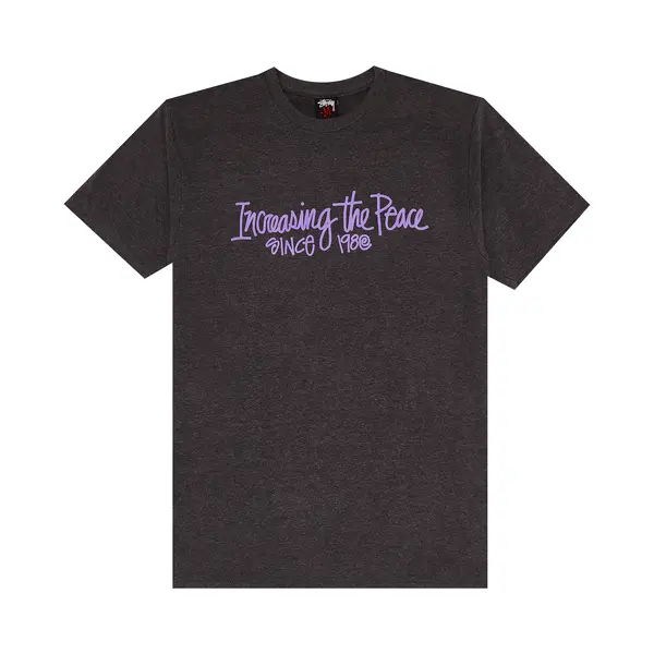 StÜssy Gear Increasing The Peace Tee